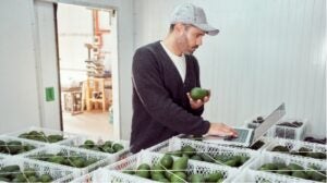 Temperature-Controlled 3PL Shipping | JEAR Logistics